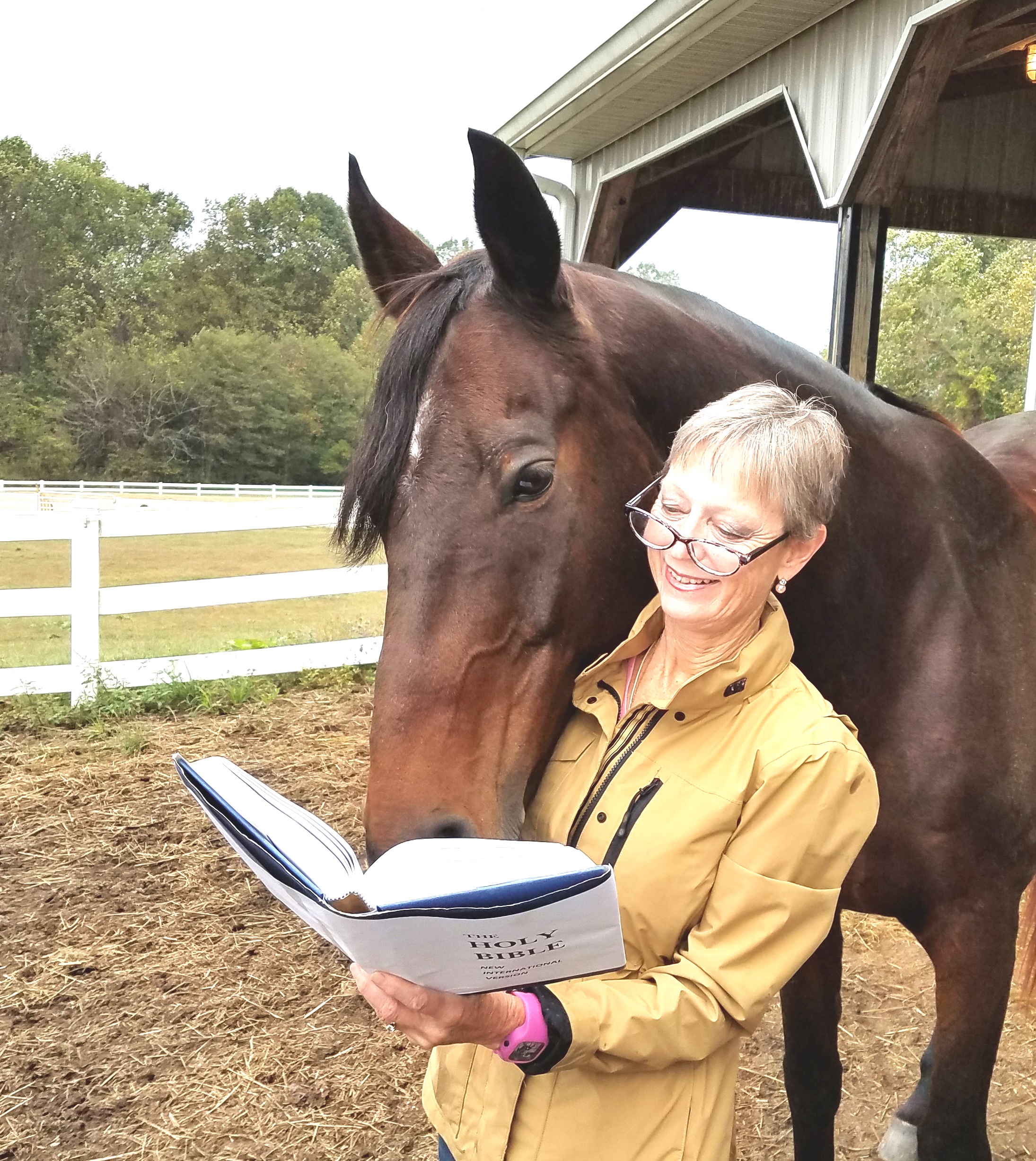 About – Hilary Walker Books